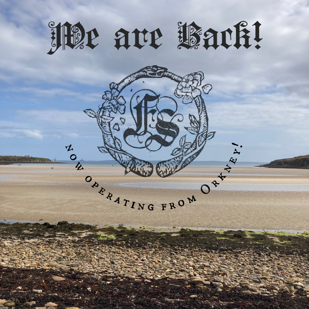 We're back! 🌊 🐚 – Feral Strumpet